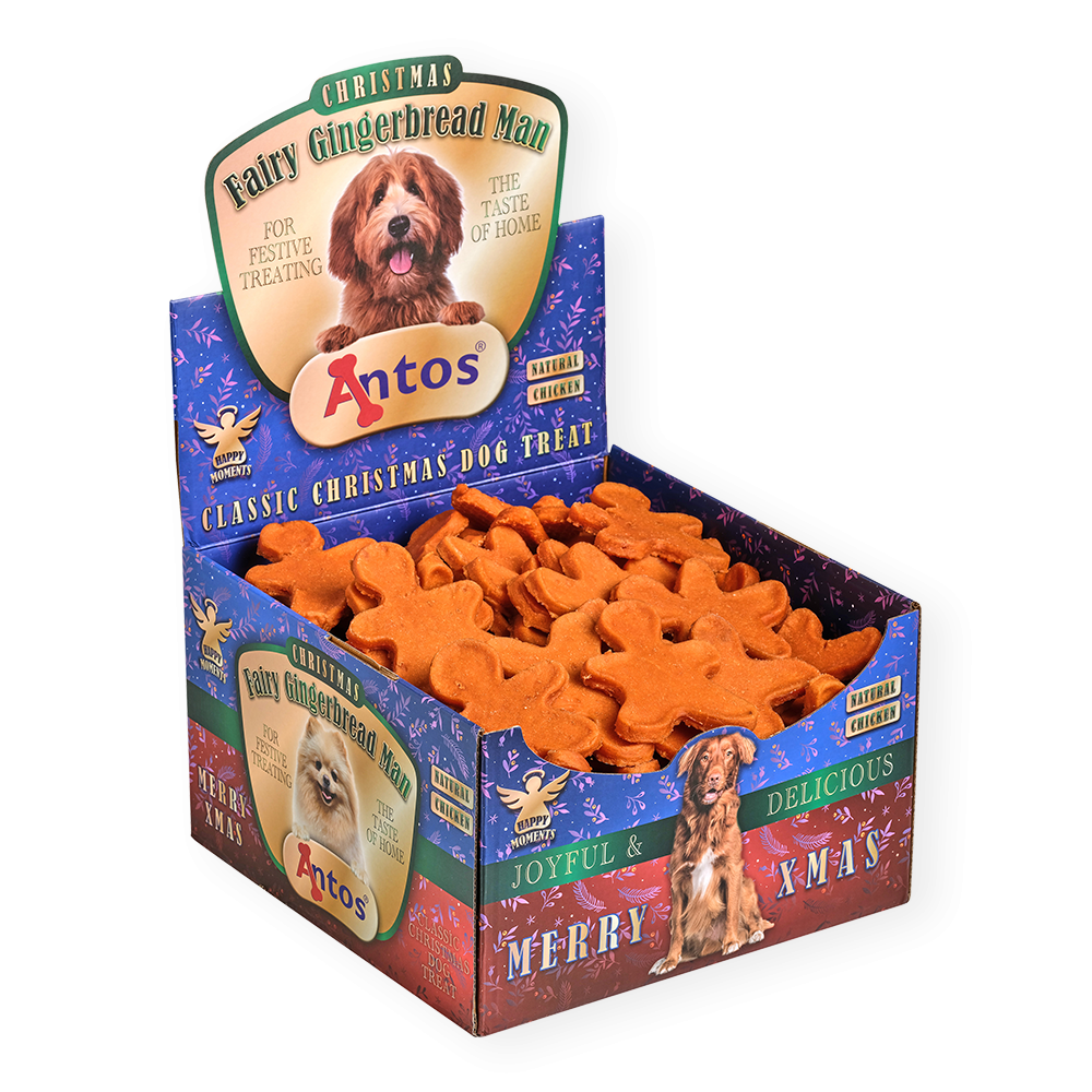 Fairy Gingerbread Man - Antos